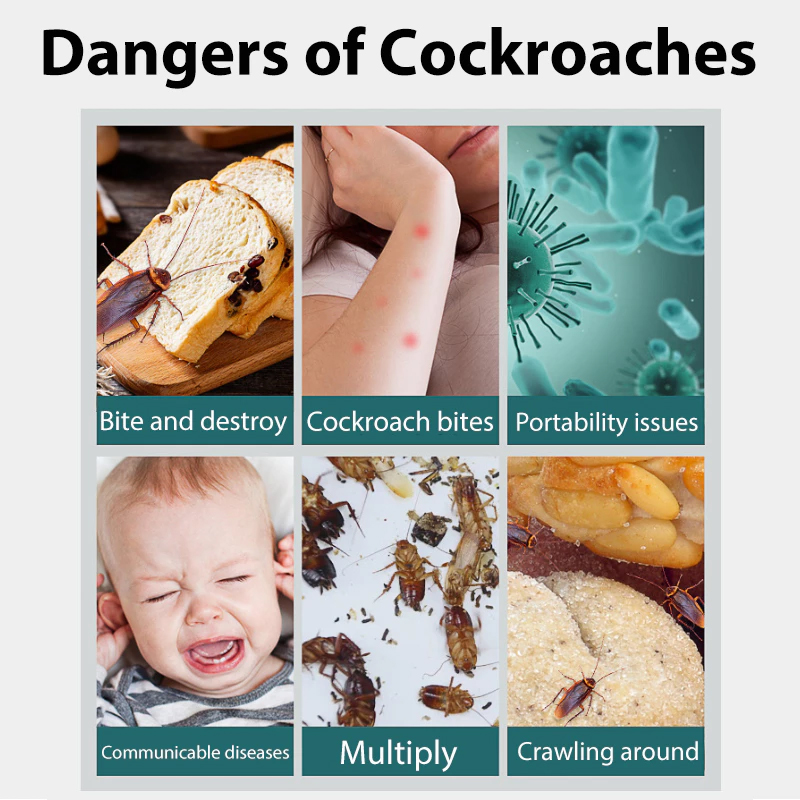 【100% infection death】 Cockroach Killer 1 box/20 tablets cockroach trap ...