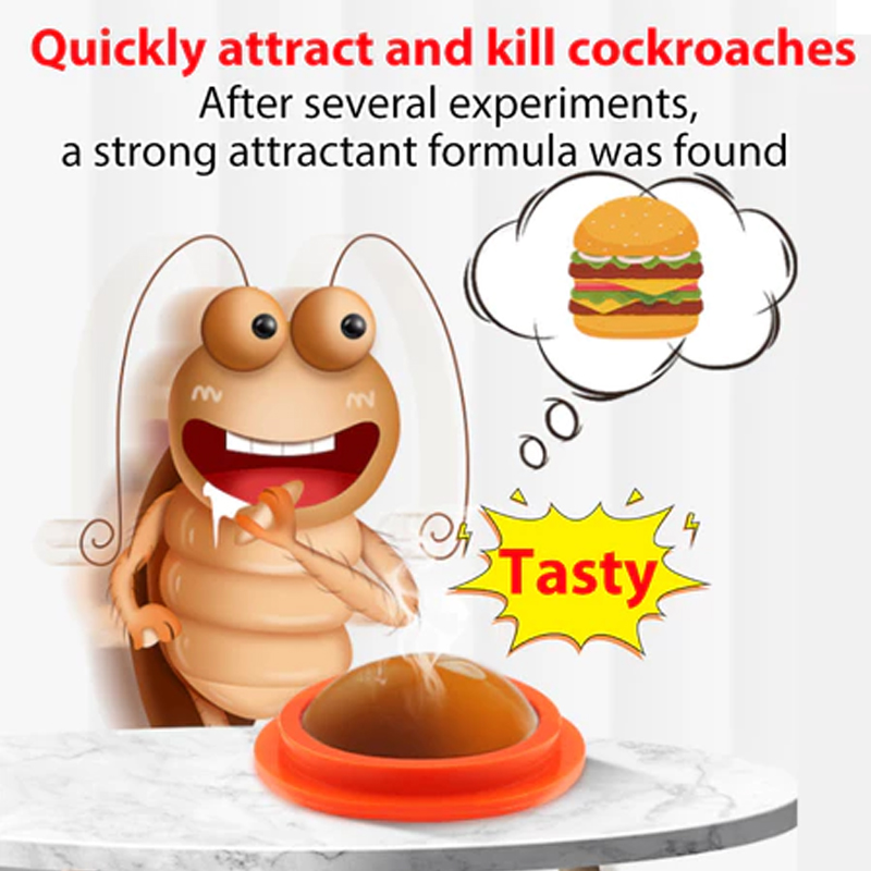 【100% infection death】 Cockroach Killer 1 box/20 tablets cockroach trap ...