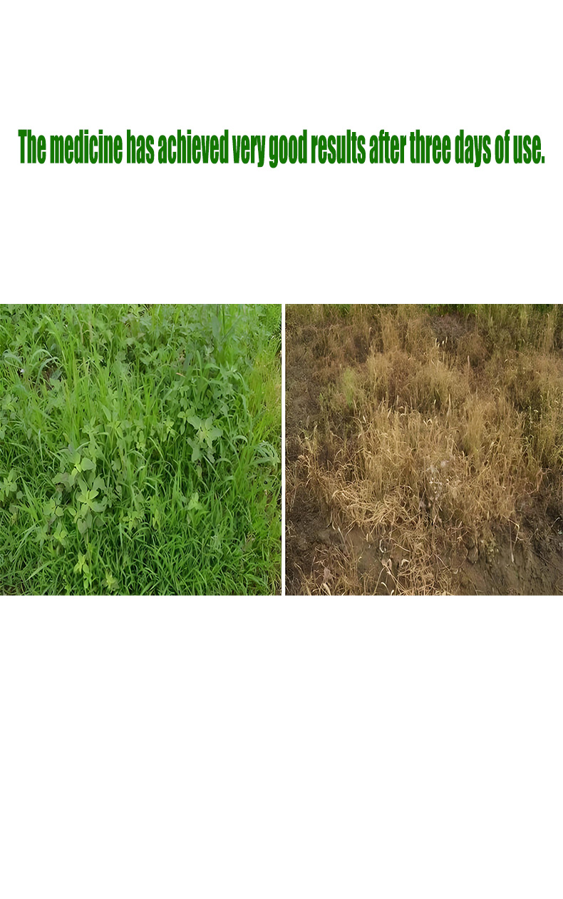 Can kill 100-year-old trees Weed killer racun rumput racun rumput tabur ...