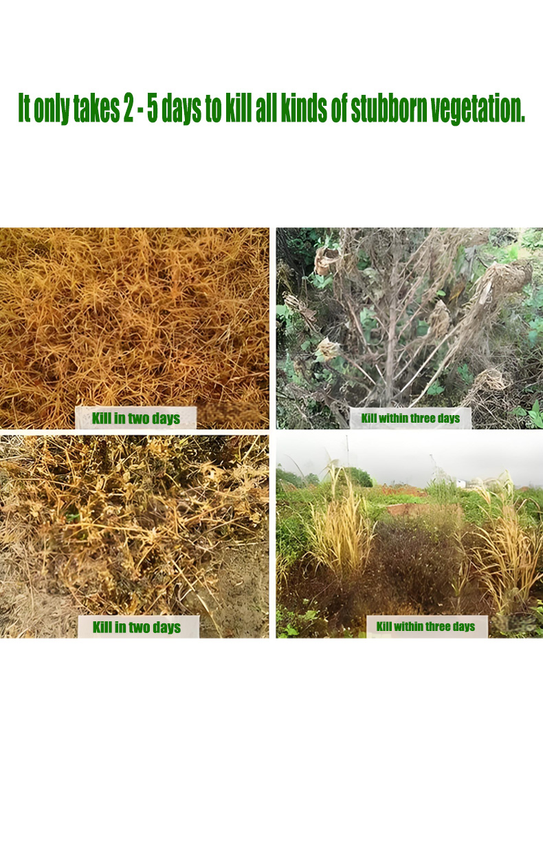 Can kill 100-year-old trees Weed killer racun rumput racun rumput tabur ...