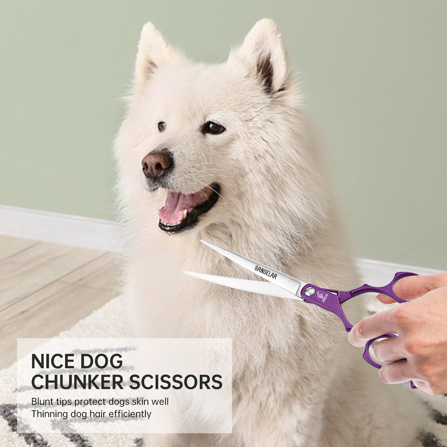 Sangelar 7 inch Premium Pet Grooming Curved Straight Scissors (Multi ...