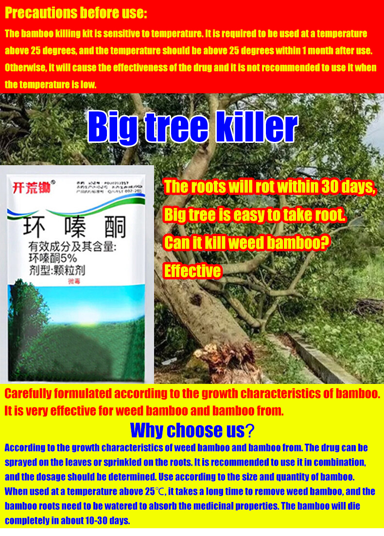 【Manufacturer direct supply】The big tree died that night Racun pokok ...