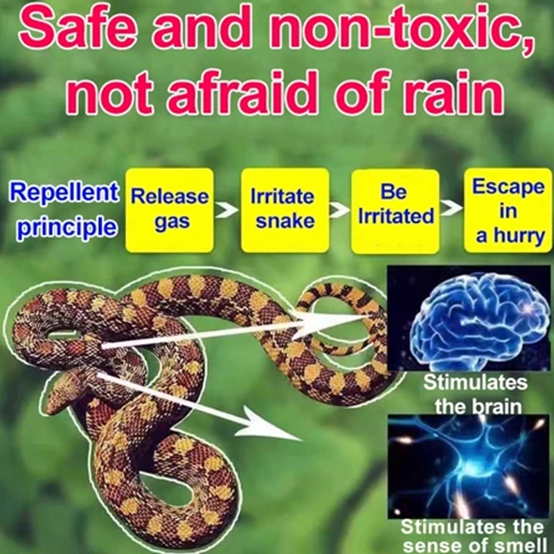20x enhancement effect Long-Acting Sulfur Snake Repellent Pills 10 ...