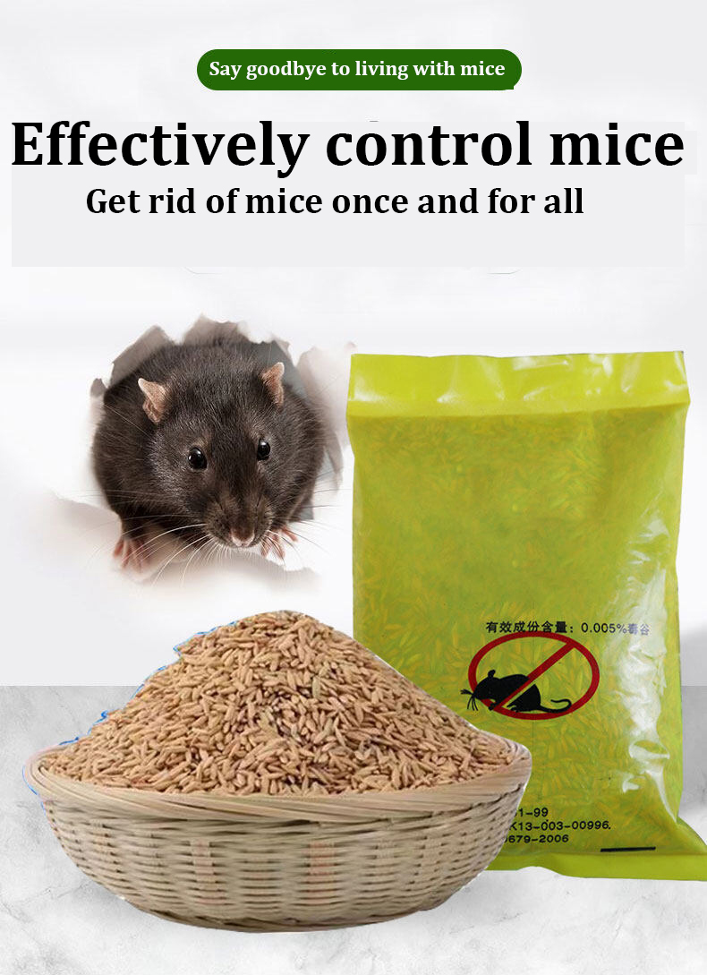 Dry and tasteless, smart mice like to eat racun tikus paling kuat No ...