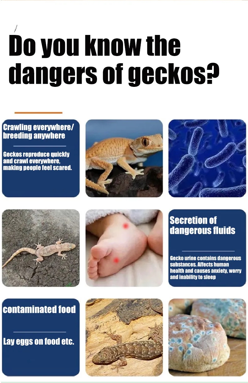 100 years without lizards Racun cicak paling kuat 25g/100g Lizard ...