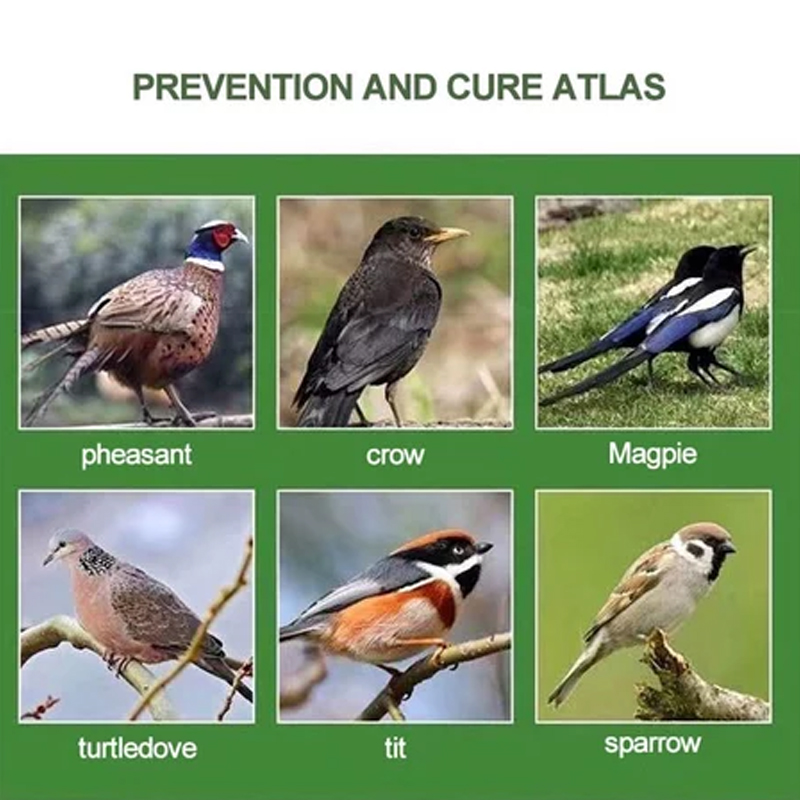 【Spot goods】Easily drive away birds！Bird repellent Halau burung merpati ...