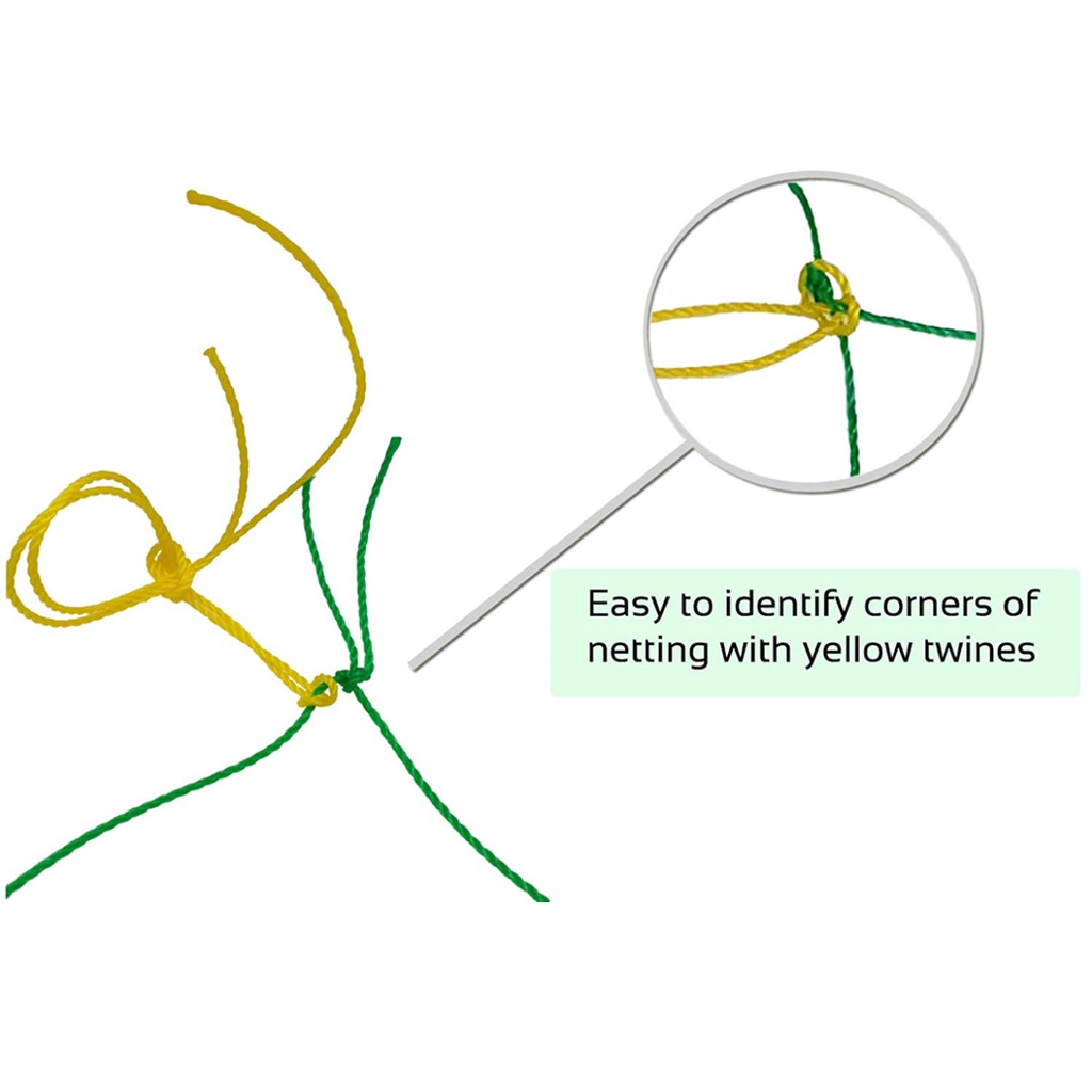 Garden Plants Climbing Net Nylon Net Morning Glory Flower Vine Netting ...