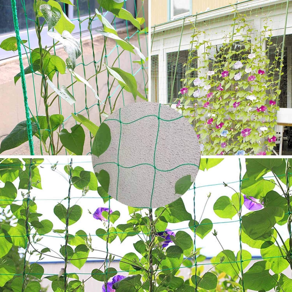 Garden Plants Climbing Net Nylon Net Morning Glory Flower Vine Netting ...
