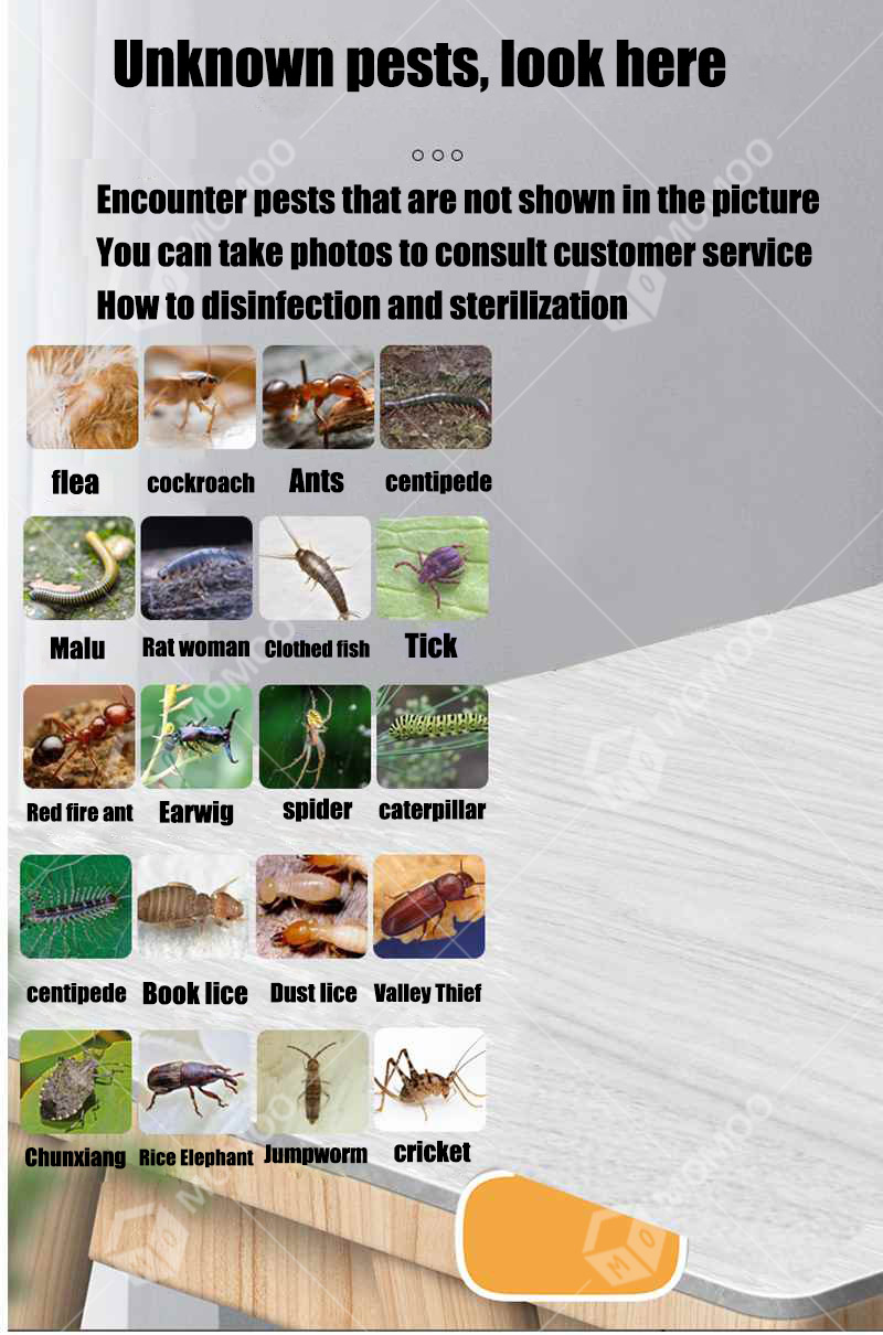 【In stock】Kill a nest of geckos in one second Lizard killer No geckos ...