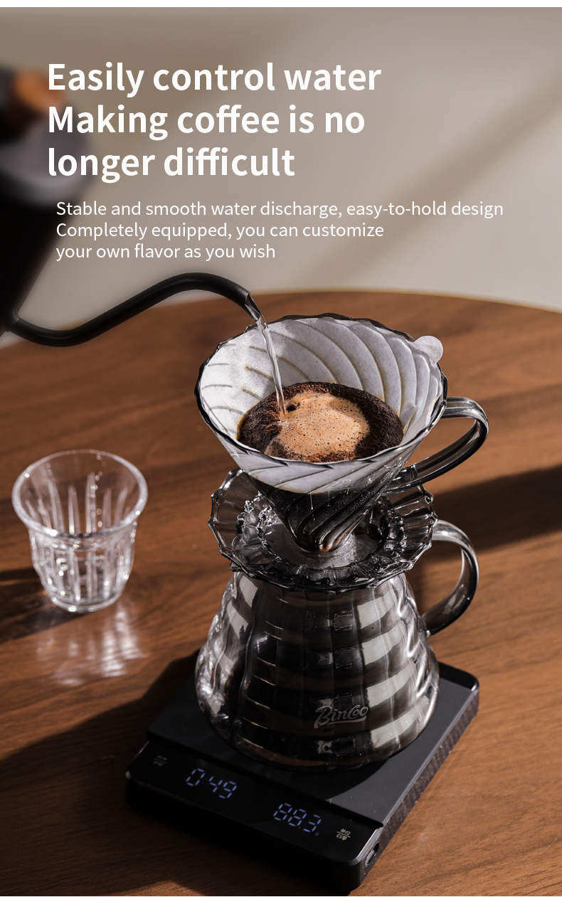 BINCOO Hand Brew Coffee Pot Set Borosilicate Glass Vertical Sharing Pot ...