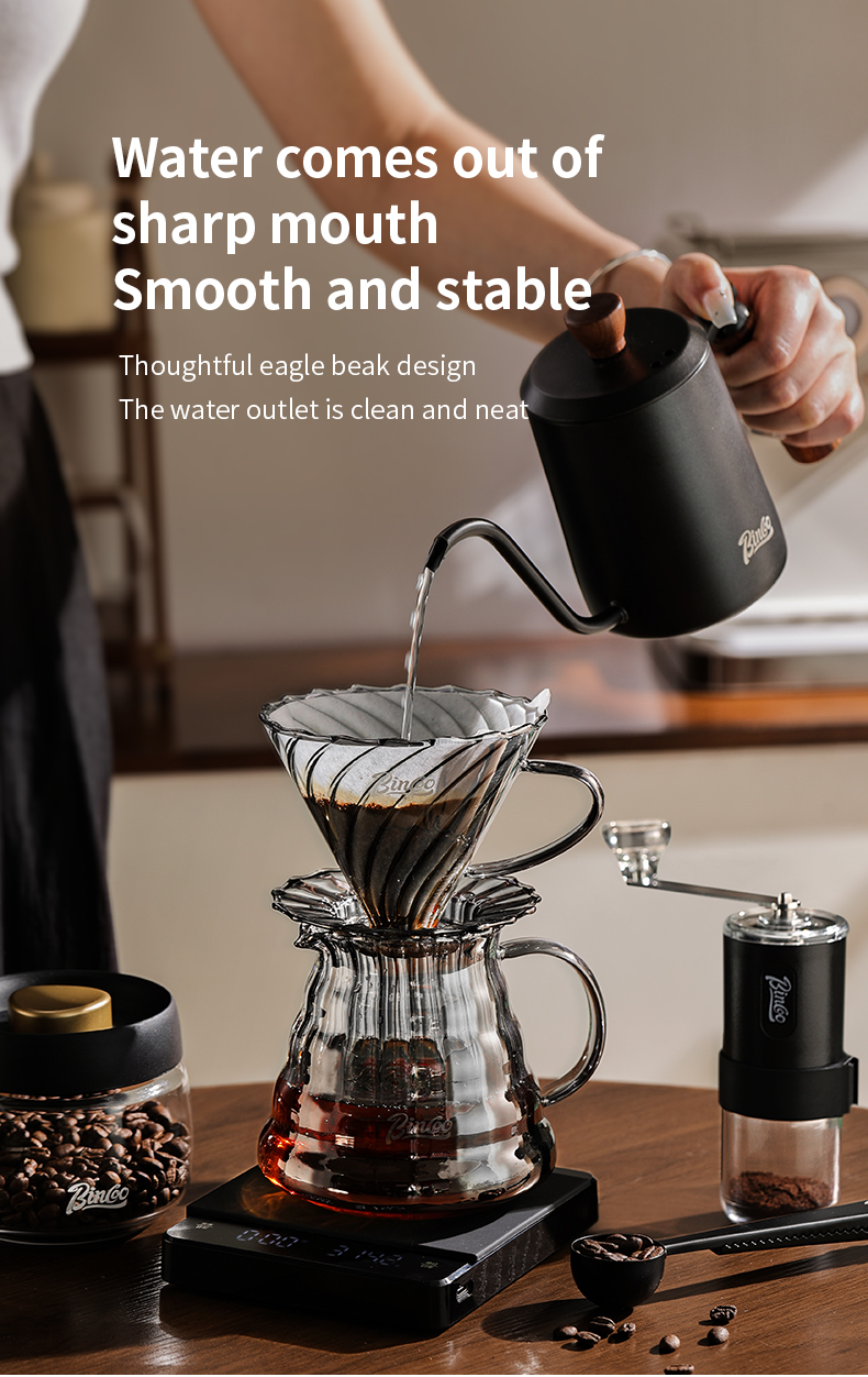 BINCOO Hand Brew Coffee Pot Set Borosilicate Glass Vertical Sharing Pot ...