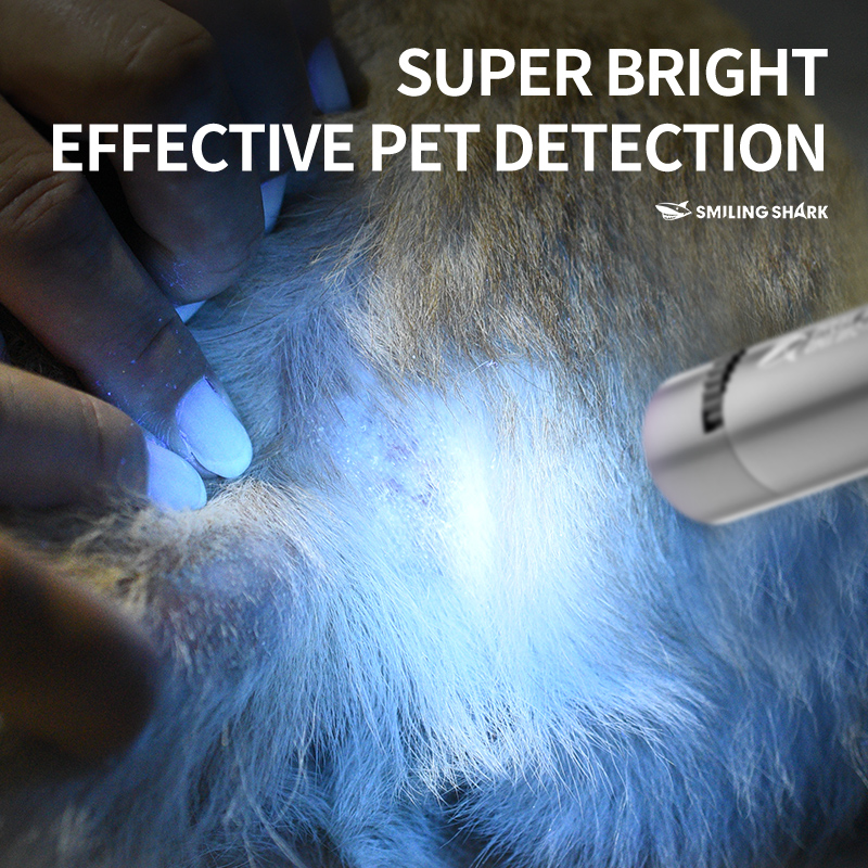 SMILING SHARK LED Pen Light Torch Light 3in1 Laser Pointer 365nm UV ...