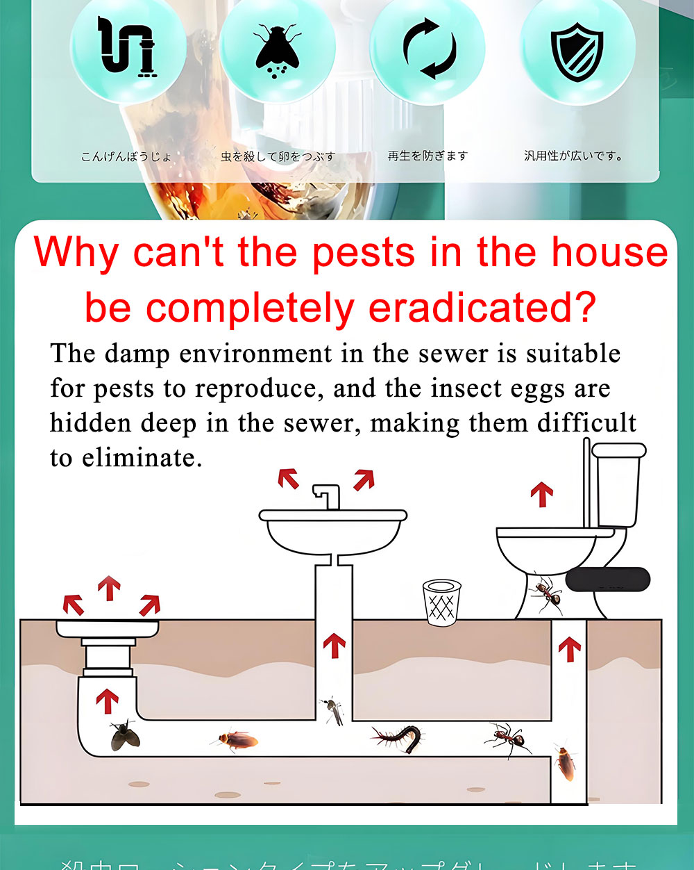 【Japan Hot】Sewer toilet drains pesticides household moth flies pipe ...