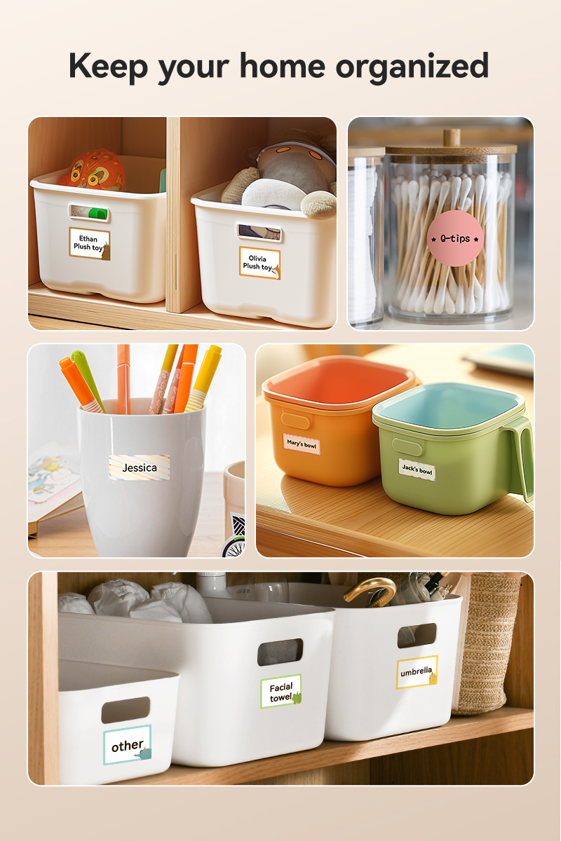 Niimbot D101 Large Size Label Printer Inkless Printer Thermal Label ...