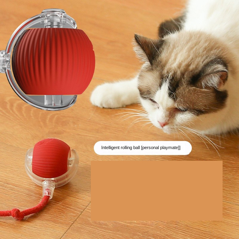 Electric Interactive Cat Toy Ball Super Drive Cat Rolling Ball Motion ...