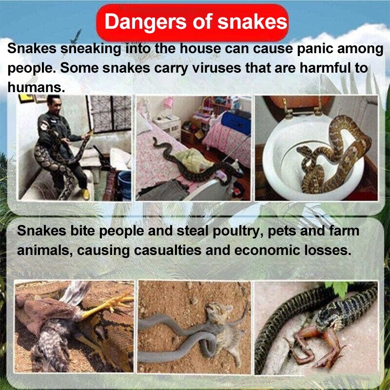 No snakes for 10 years Snake Repellent Long-Acting Snake Repellent ...