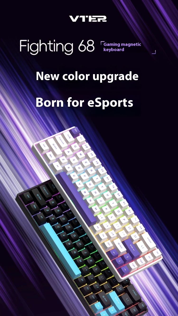 VTER Fighting 68 Wired Magnetic Keyboard 65% Hot swappable RGB 0.5ms ...