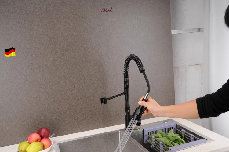 German SARI multifunctional stainless steel spring faucet 360° rotating ...