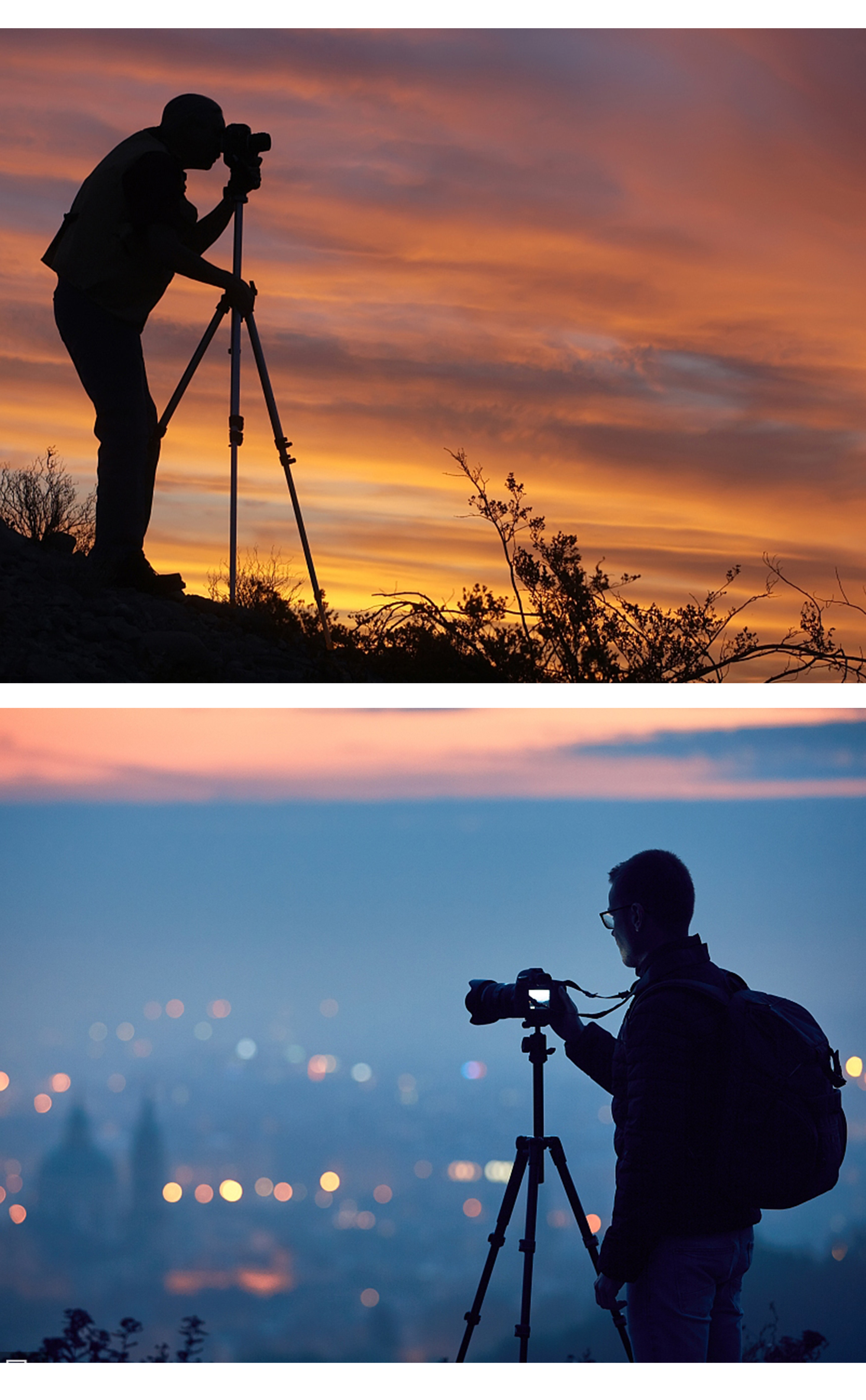 Zomei Q188 Camera tripod Aluminum Alloy Tripod with 3-Way Pan Tilt Head ...