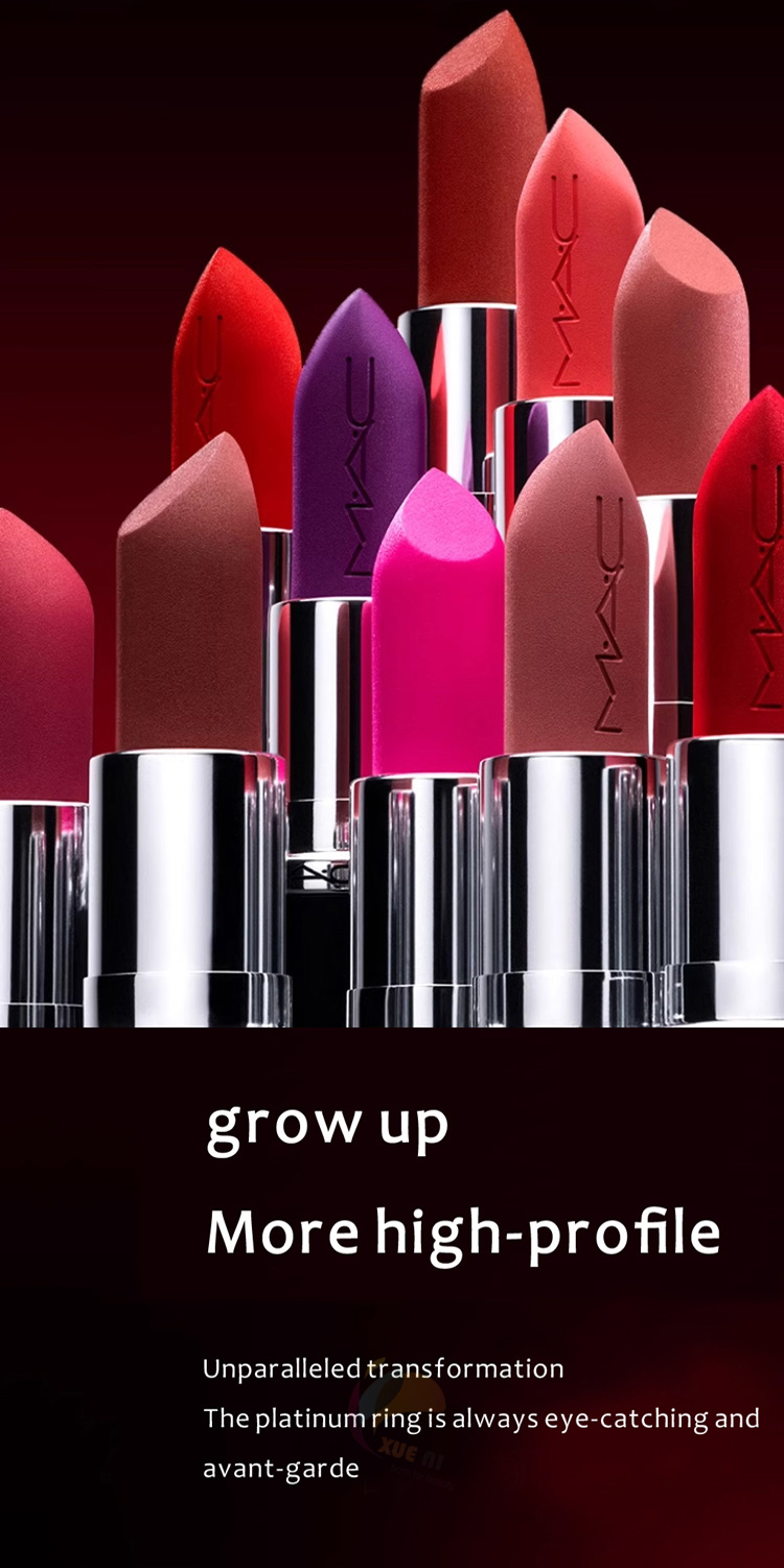 Frosted lipstick Specialty store Mac Meike Youwu spring lipstick 316 ...