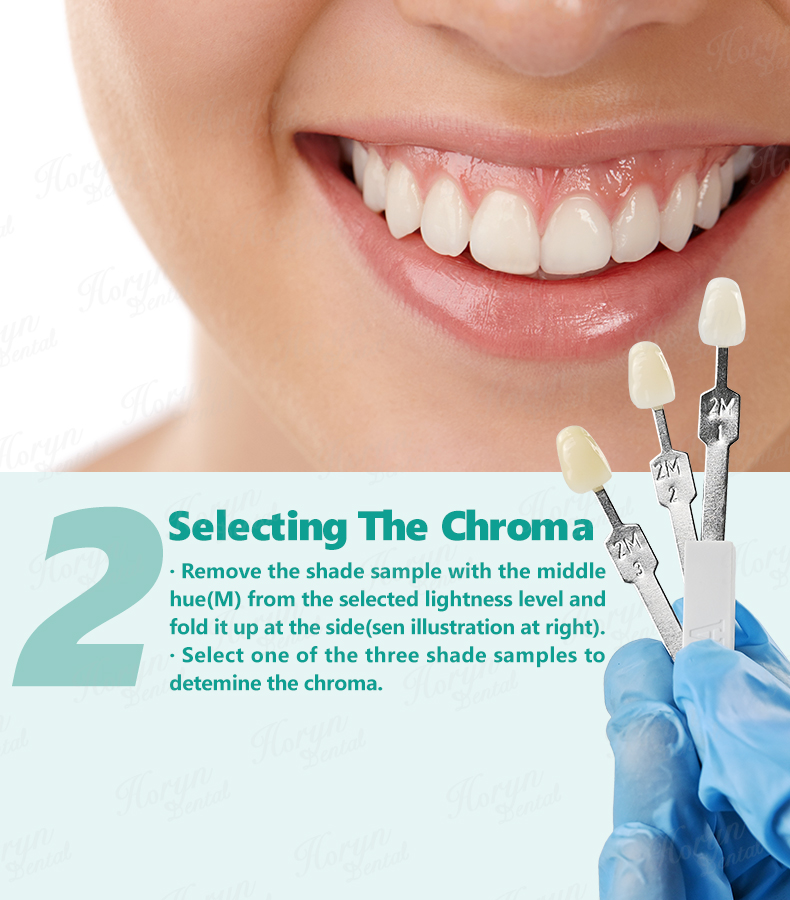 HORYN Dental Bleach Shade Guide 29 Colors VITA 3D Master Teeth ...