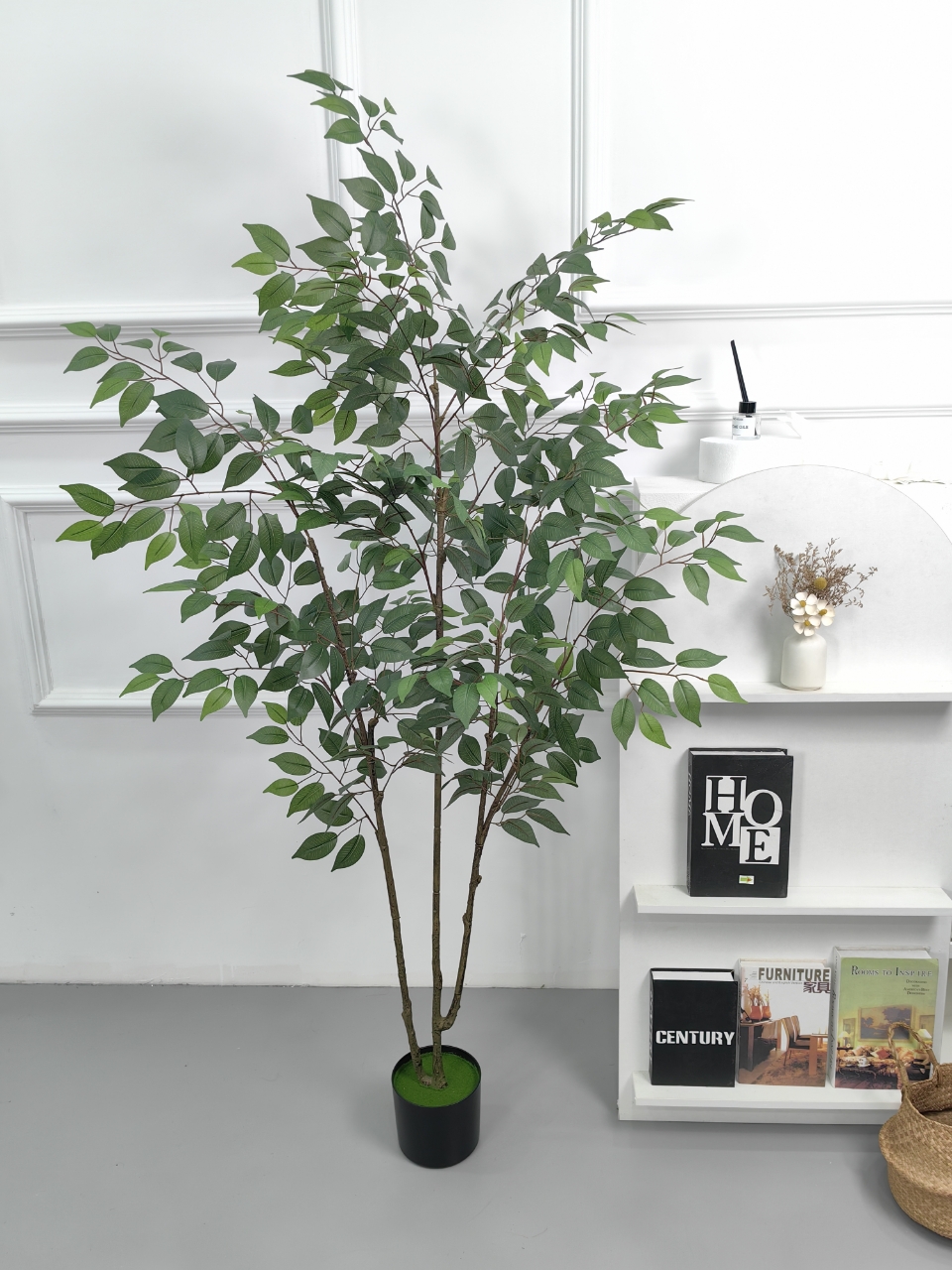 Local MY New Favorite of Indoor Internet-Famous Green Plants! 150CM and ...