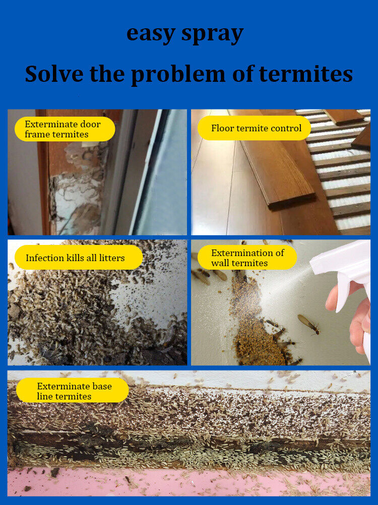 10 years termite-free racun anai anai Infestation kills entire termite ...