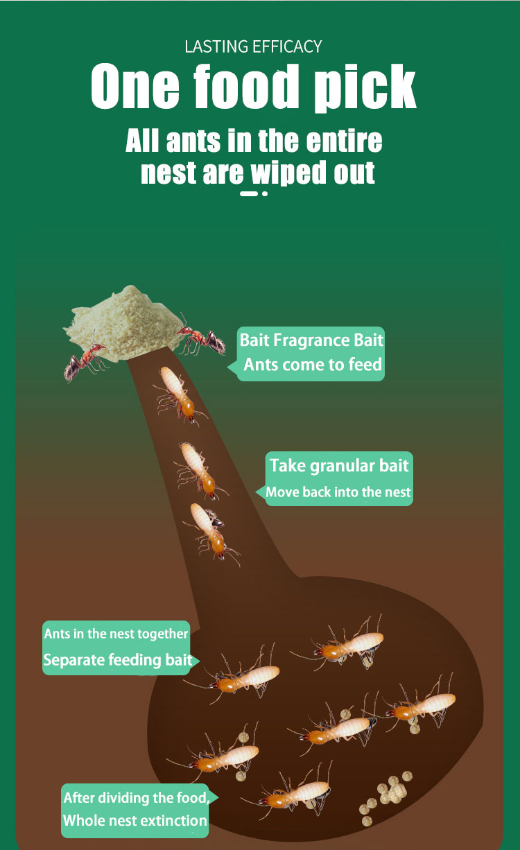 Completely eliminate termites Verve Racun anai anai rumah Racun semut ...