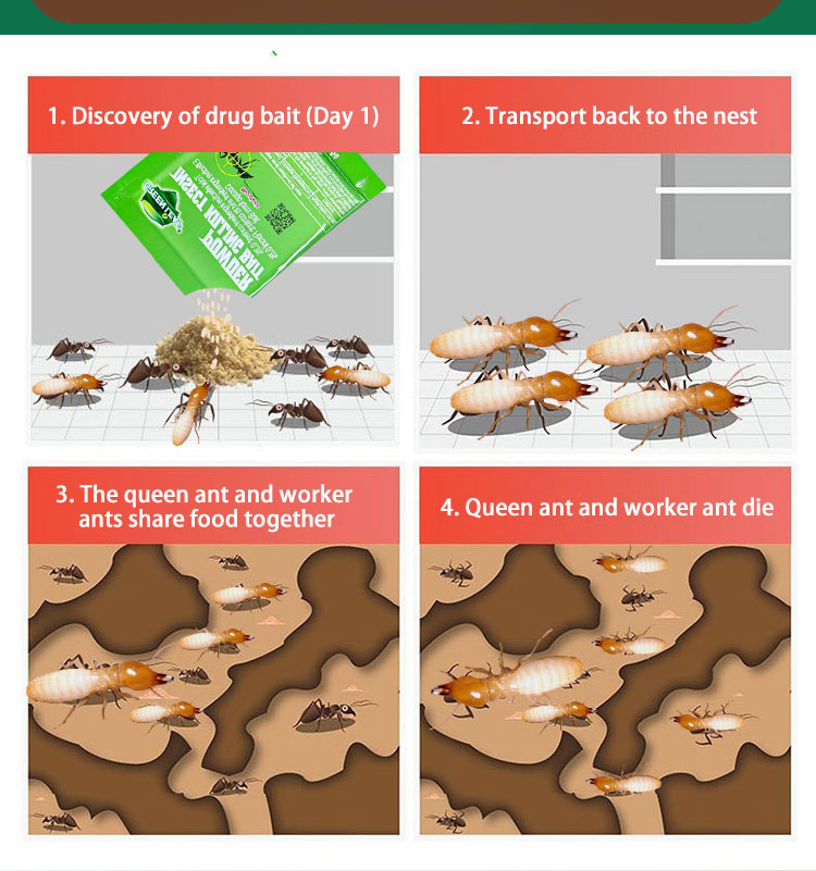 Completely eliminate termites Verve Racun anai anai rumah Racun semut ...