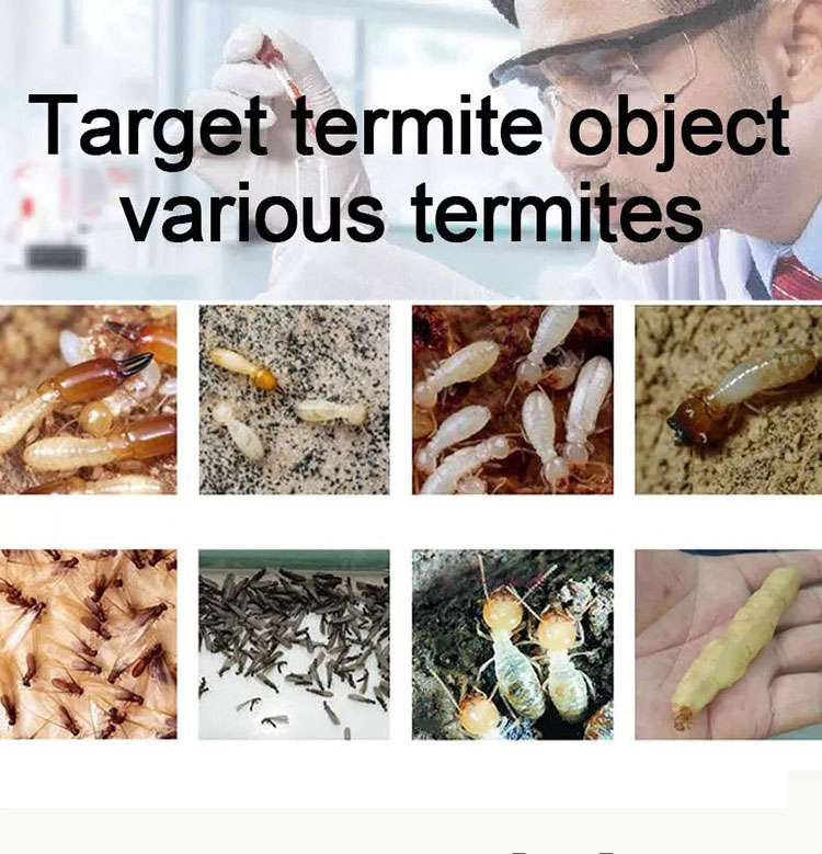 Completely eliminate termites Verve Racun anai anai rumah Racun semut ...