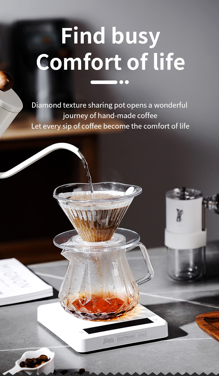BINCOO Hand Made Coffee Pot Set Sharing Pot with V60 Filter Cup Drip ...
