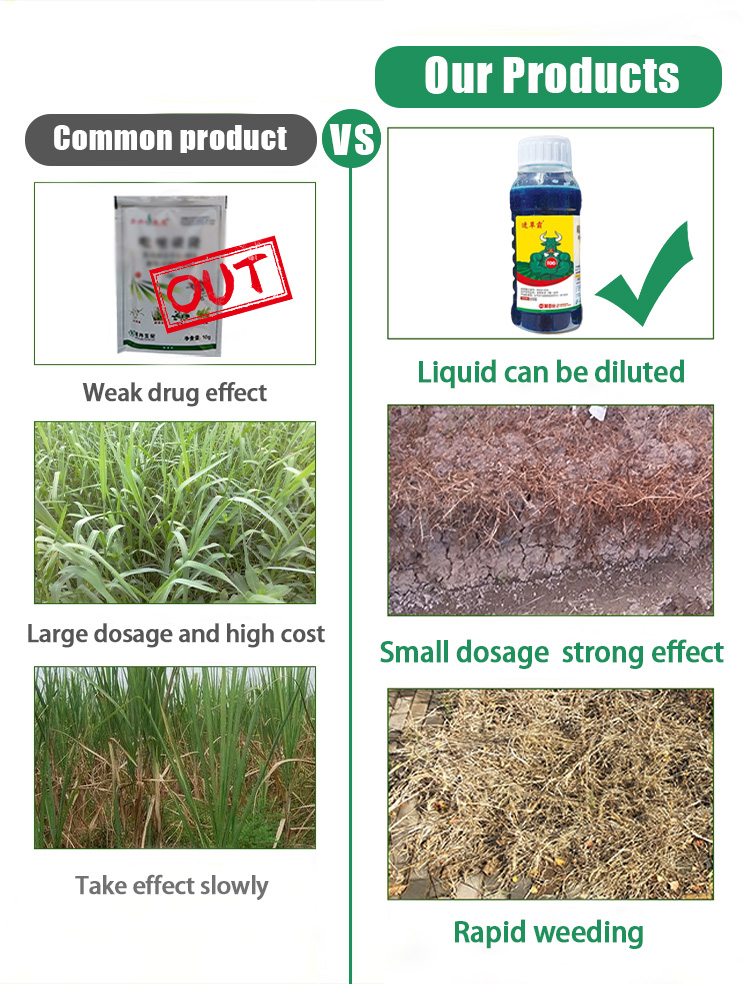 【High concentration】TTG Racun rumput cepat mati Racun rumput paling ...