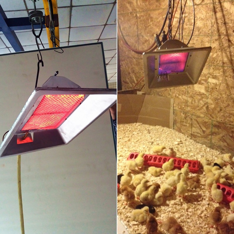 Automatic Heatng Incubation Equipment Safe Infrared Gas Brooder Heater ...