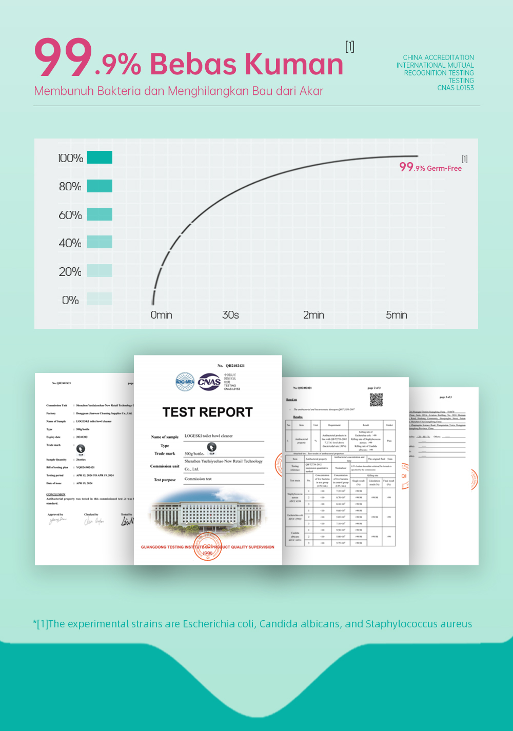 LOGESKI Toilet Bathroom Cleaner Scrub-Free Powerful Stain Remover Germ-Free For Toilet Bowl ...