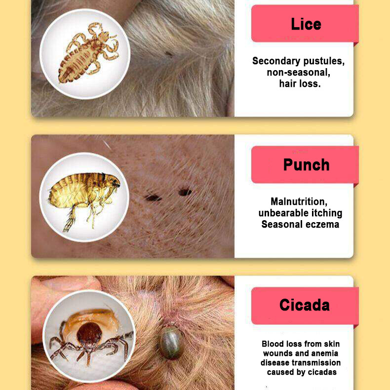 Kills ticks and fleas ubat kutu kucing paling berkesan Don't harm pets ...