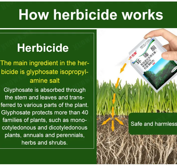 Tree killing herbicide 3 seconds to remove big trees kill tree and ...