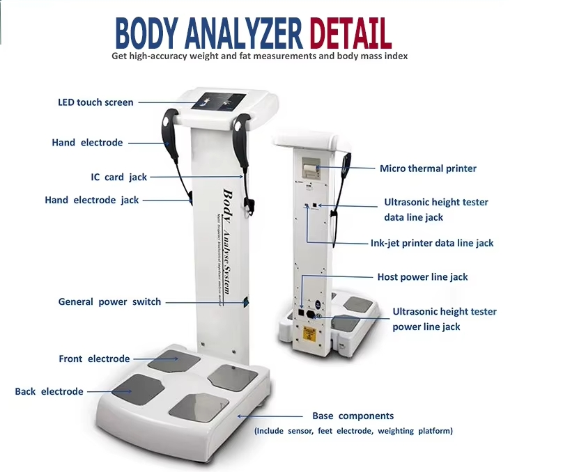 Hot Sell Body Fat Scanner Scale Analyzer Body Fat Analyzer Body ...