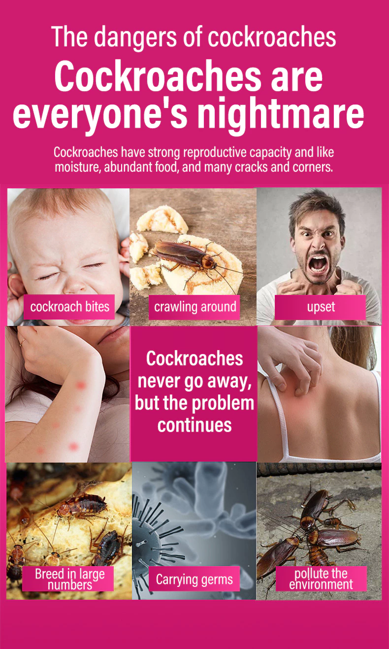 No cockroaches within 1000 meters Cockroaches trap cockroach killer ...