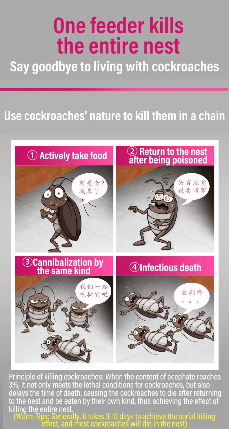 No cockroaches within 1000 meters Cockroaches trap cockroach killer ...