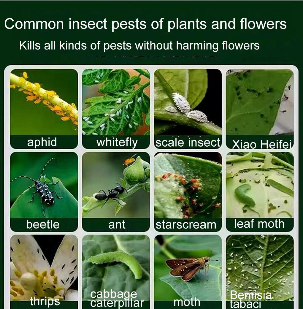 Kill all types of pests！Racun serangga tanaman Plant insect repellent ...