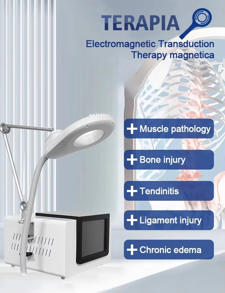 Magneto Therapy Pulsed Electromagnetic Field Physio Therapy Device ...