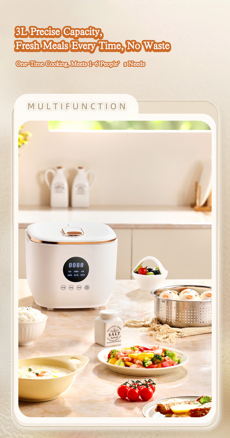 Low Sugar Rice Cooker with Ceramic Oil Non-Stick Inner Pot, Stainless ...