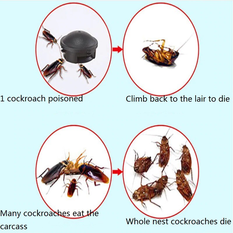 Cockroach medicine Cockroach Japanese Kill Cockroach Medicine Cockroach ...