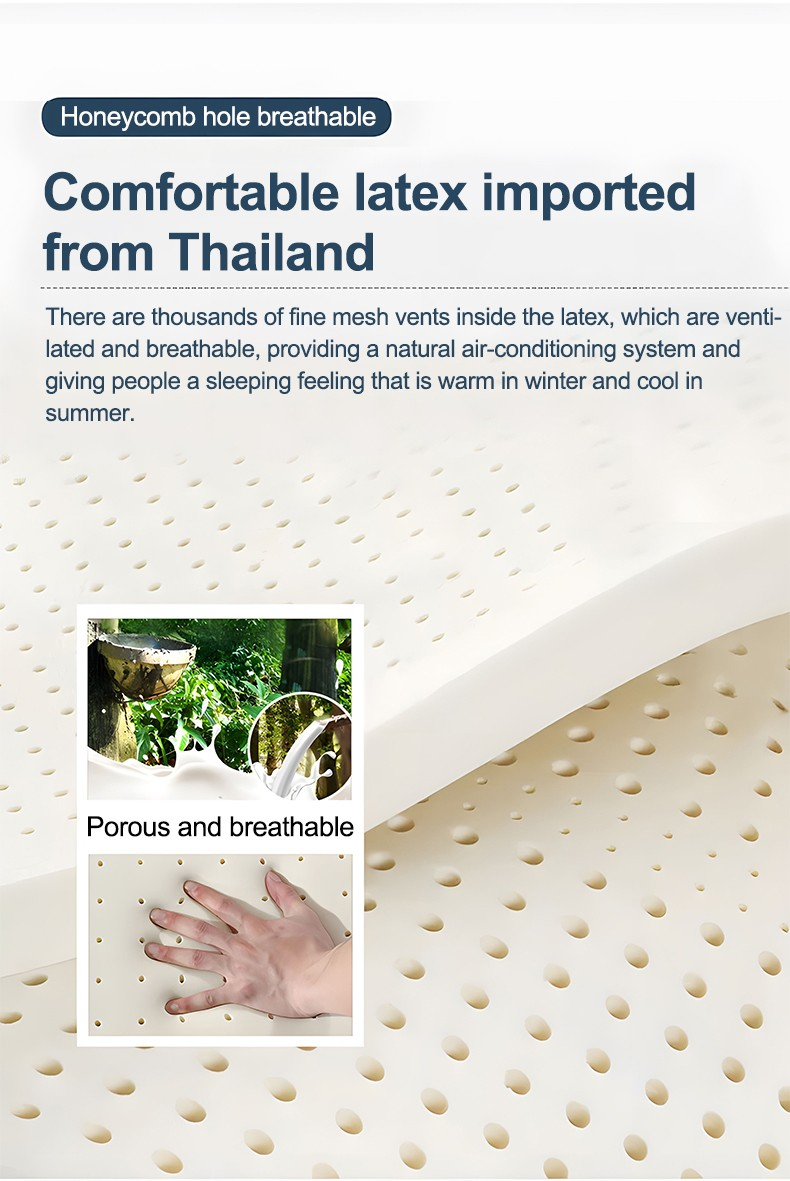 Dreame 8.6/10.5 Inch Thick Memory Foam Mute Zero Pressure Spring ...