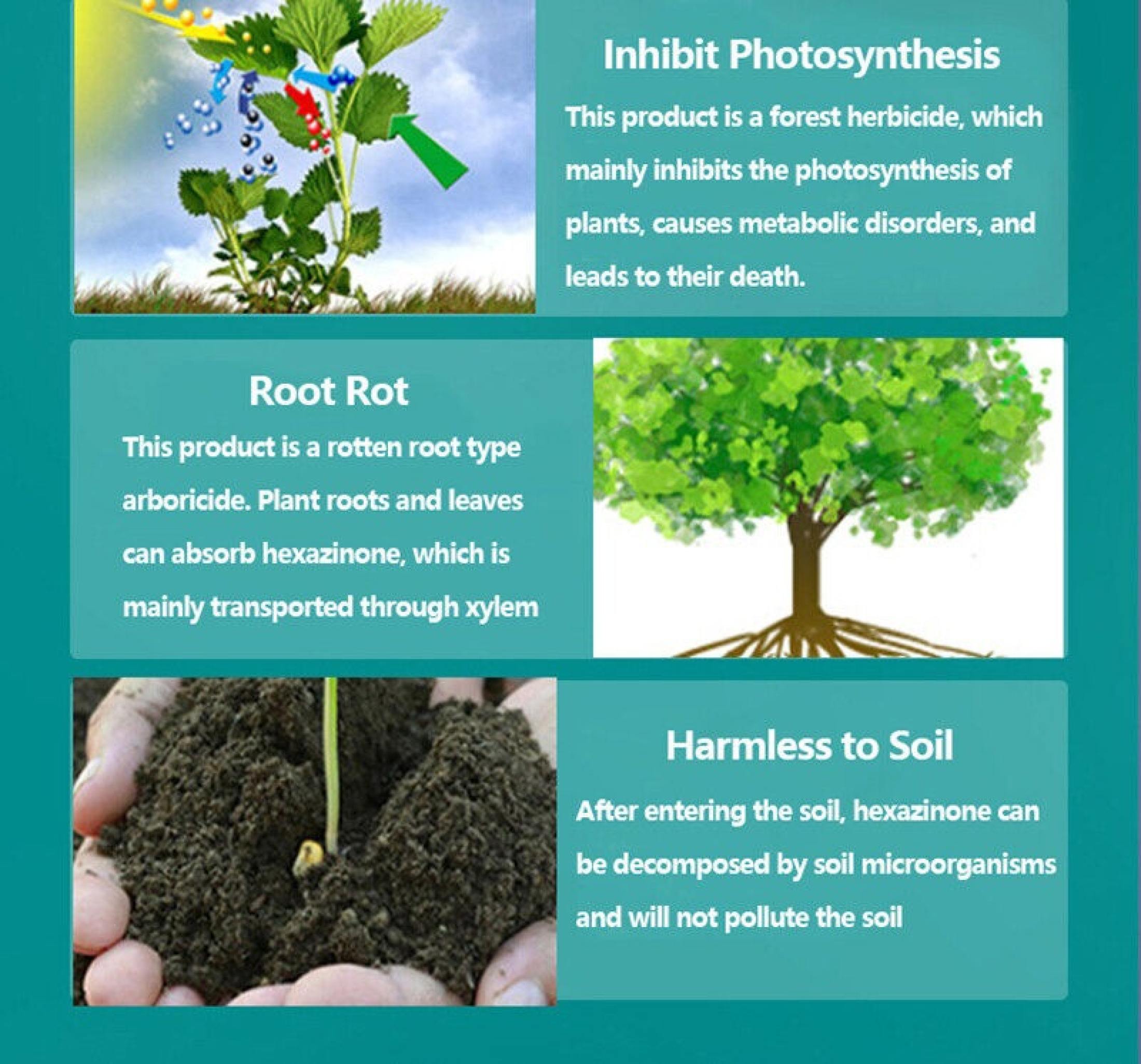 500g Tree killer chemical powder Hexazinone root removal kill tree and ...
