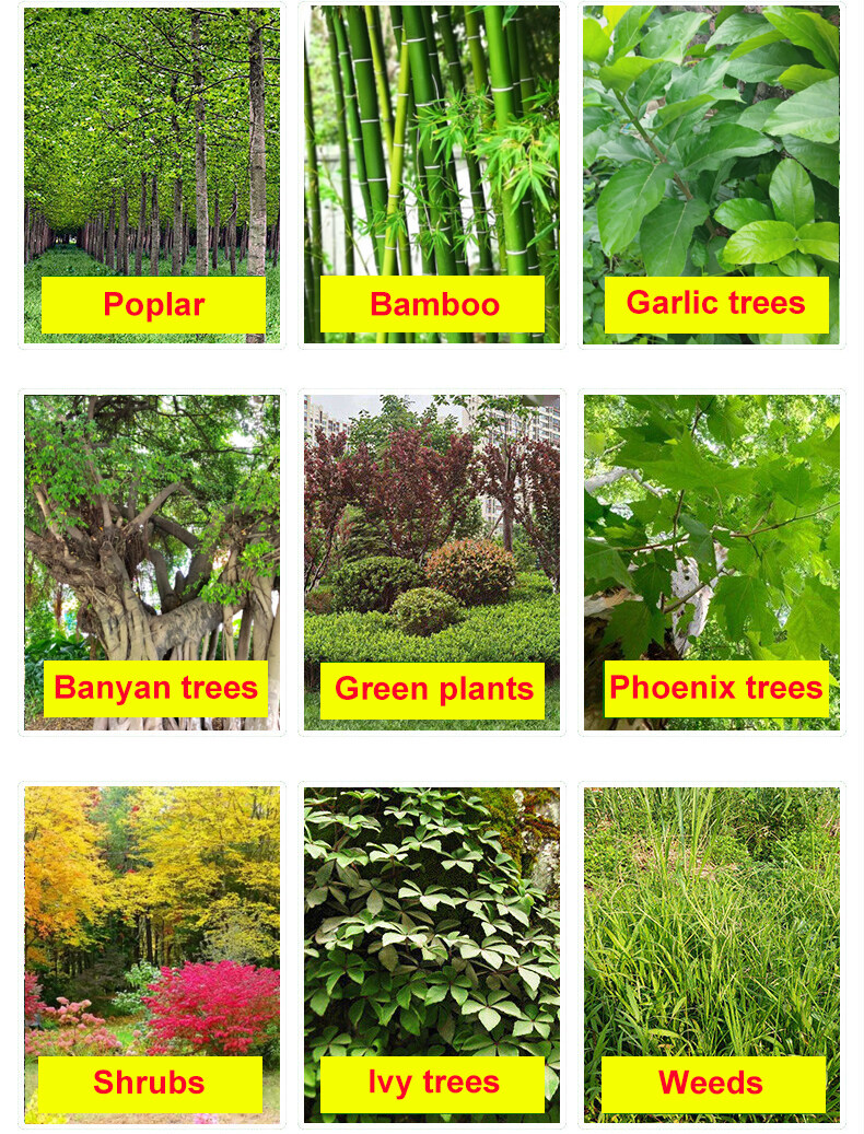 Bamboo forests leveled!! Racun Rumput & Pokok Clear trees, bamboo, and ...