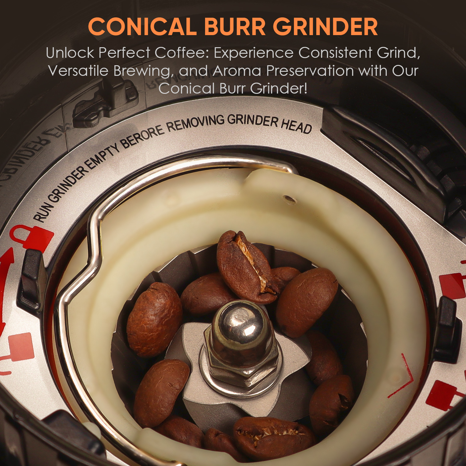 Biolomix Electric Conical Burr Coffee Grinder Stainless Steel Body For ...