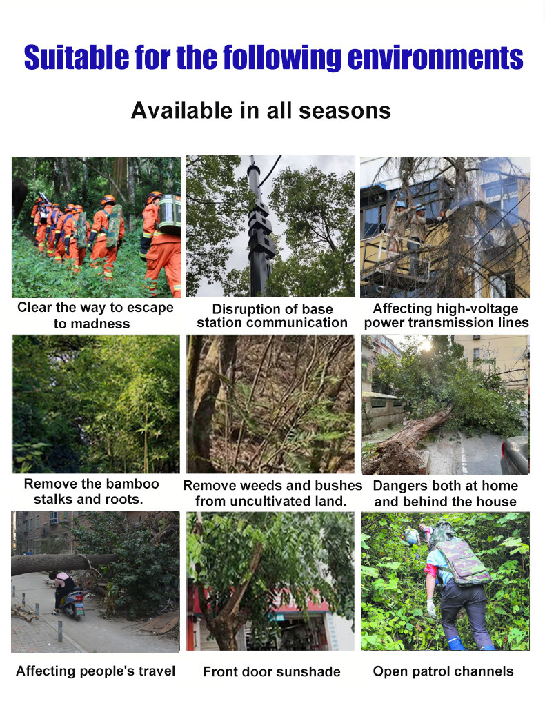 【No matter how big the tree is 1000% rotten roots】racun rumput cepat ...