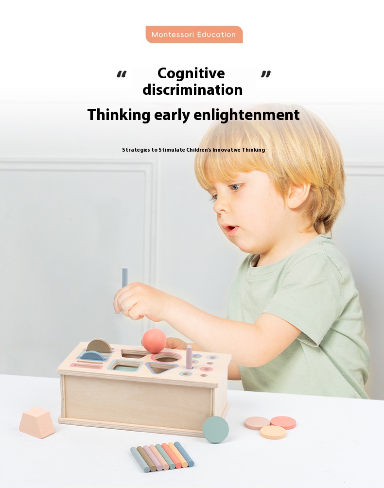 Montessori Classification Early Education Coin Box Baby Color Cognition ...