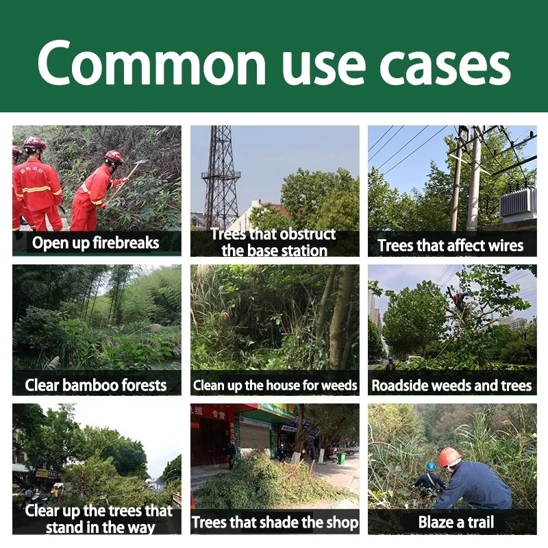 Killing a thousand year old tree only takes one day 1KG Racun pokok The ...